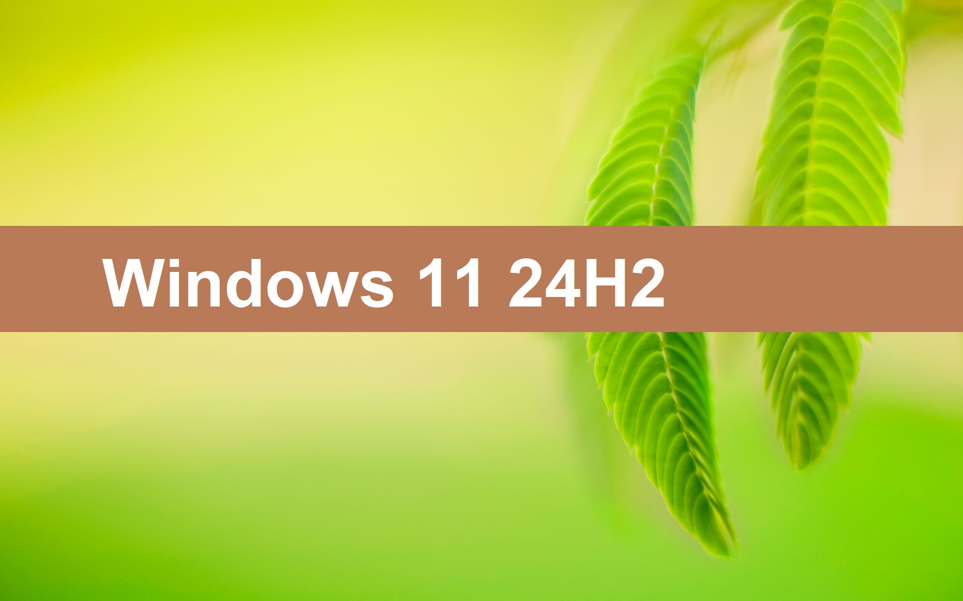 Windows 12 ou 11 24h2 - IdaTech Informática